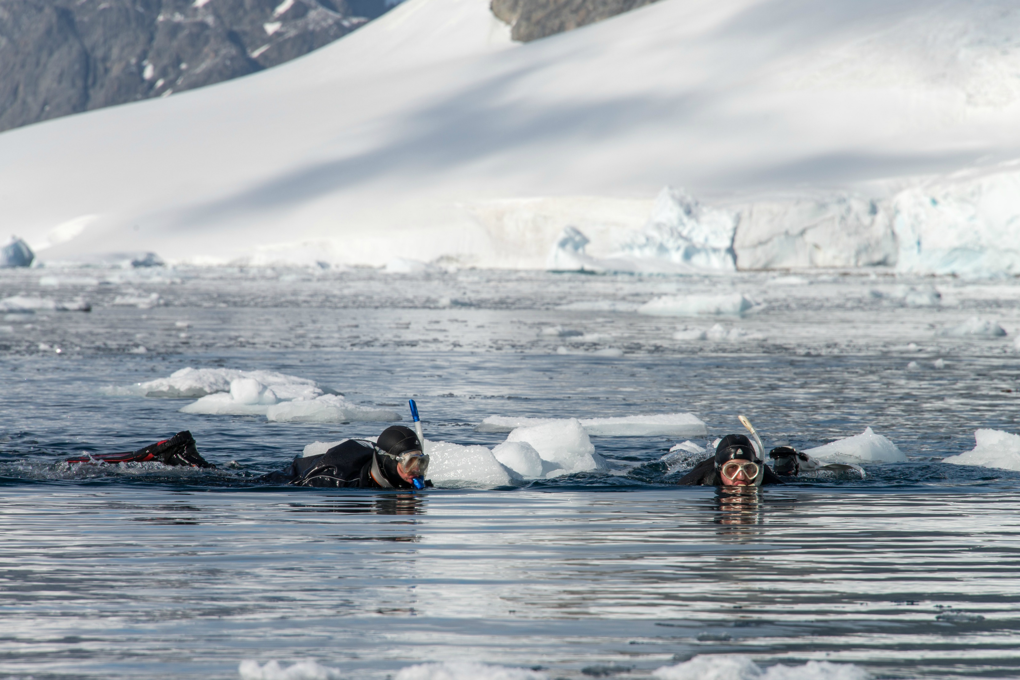 Scuba Diving Trip in Antarctica | Swoop Antarctica