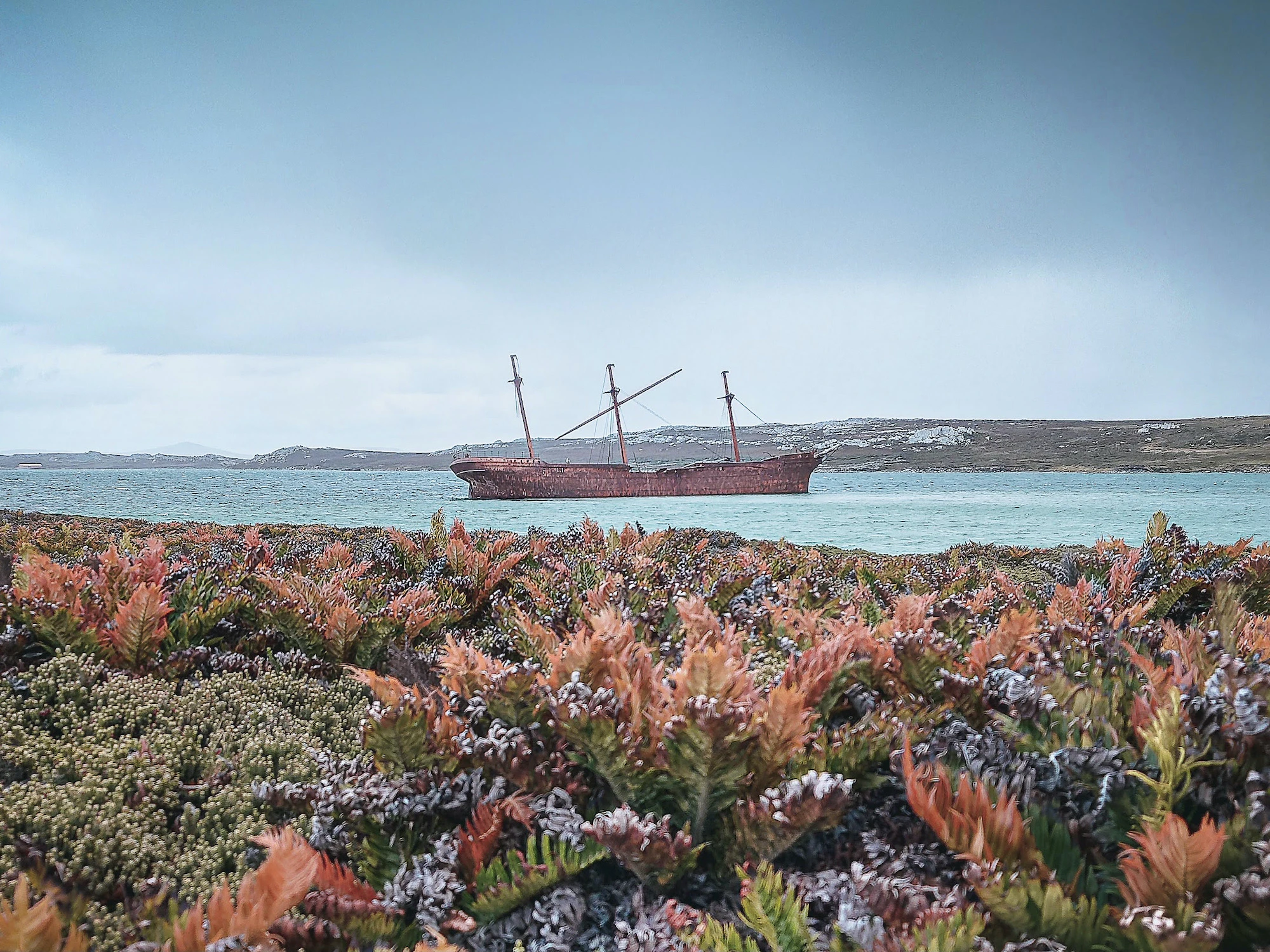 Stanley - Capital of the Falkland Islands | Swoop Antarctica