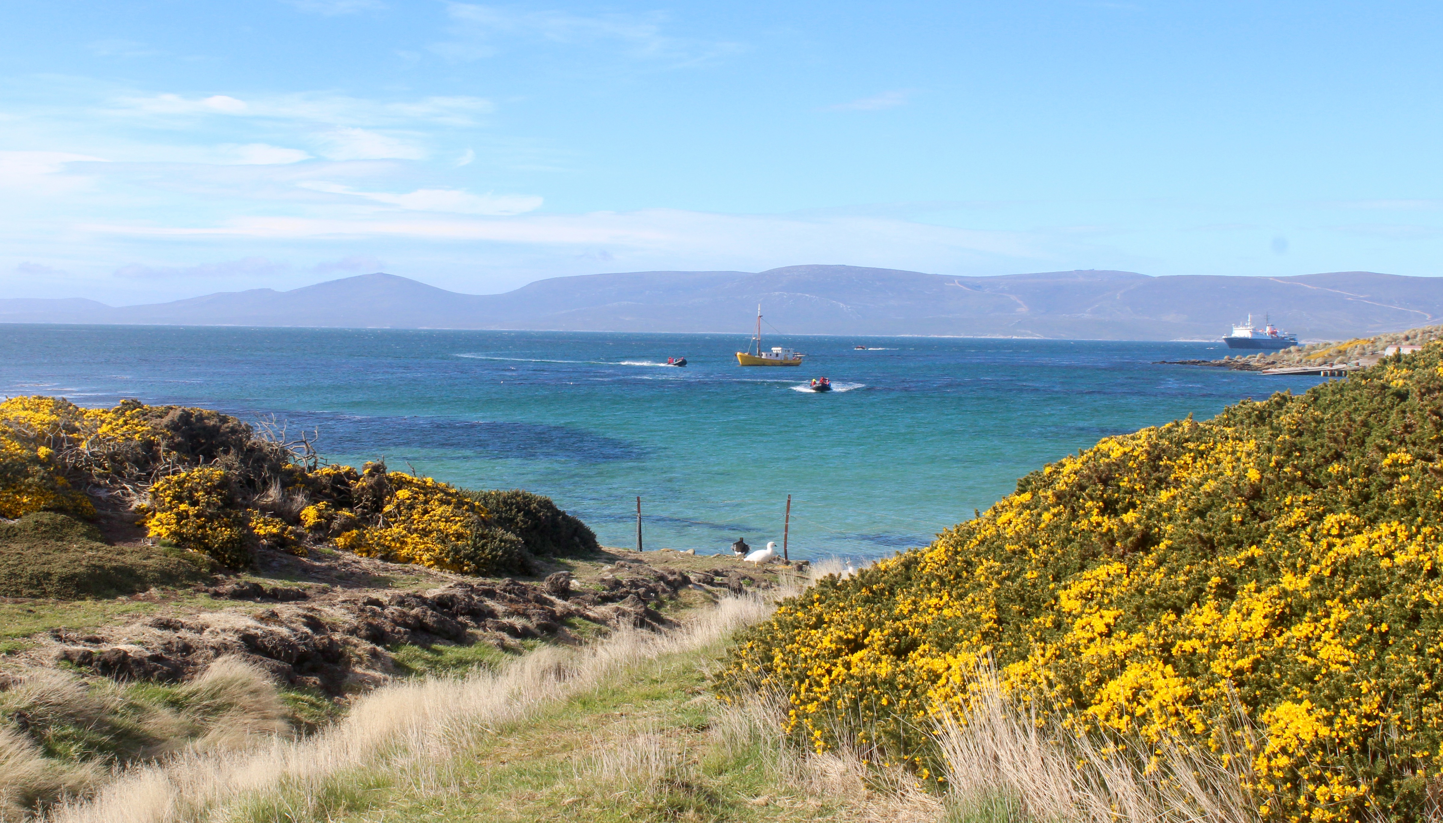 Meet Helen | Swoop Antarctica
