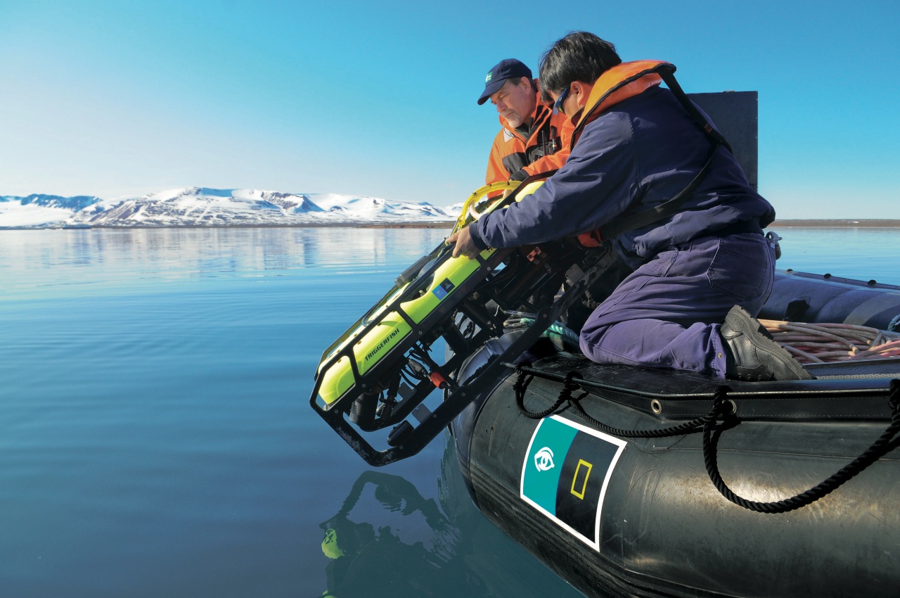 National Geographic Antarctica Cruise - Explorer Ship