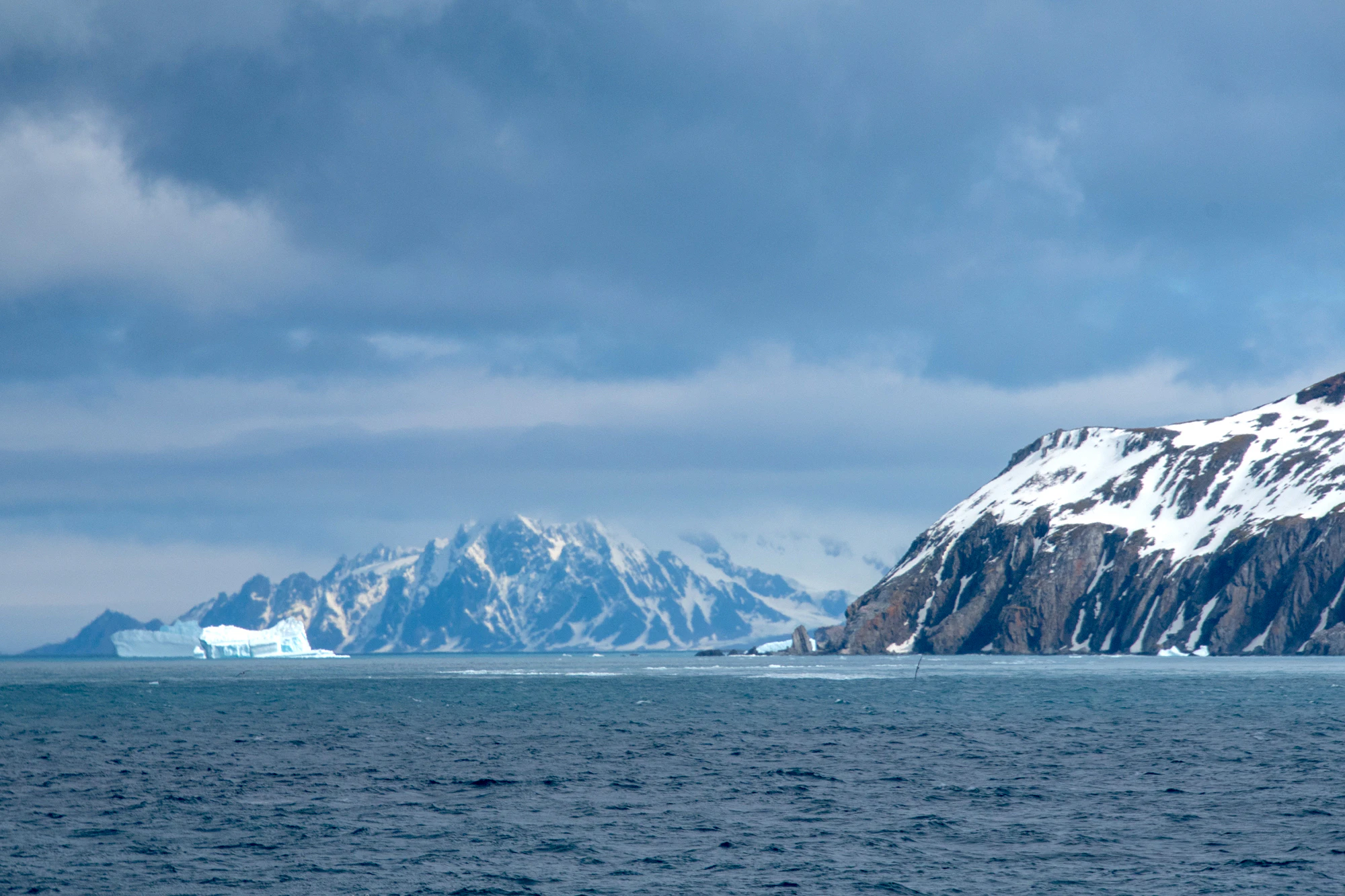 Elephant Island, South Georgia | Swoop Antarctica