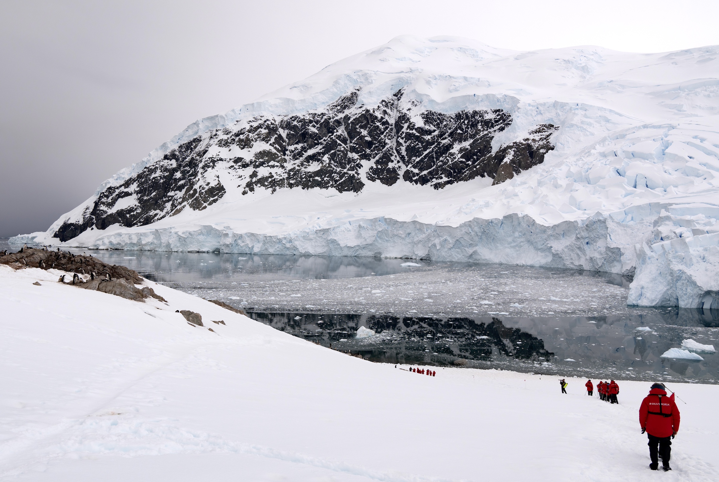 Luxury South Georgia & Antarctica Combination | Swoop Antarctica