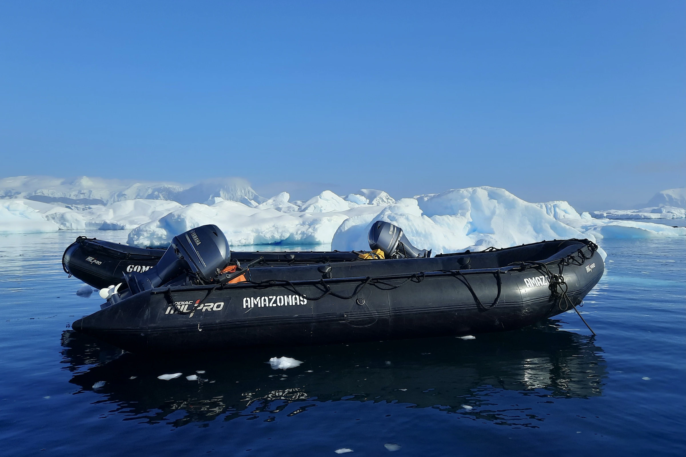 Zodiac cruises | Swoop Antarctica